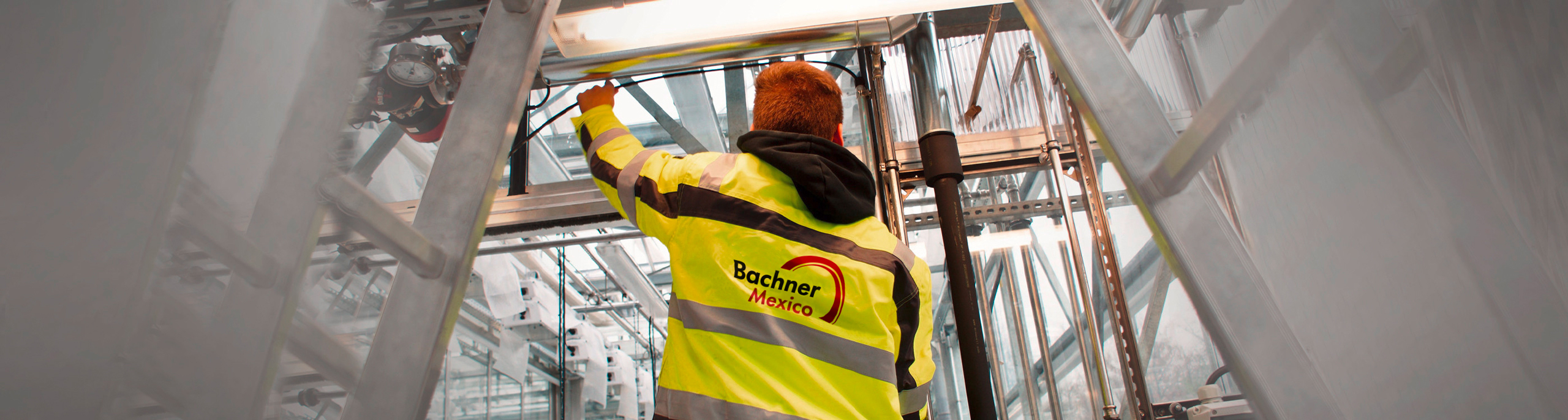 Servicios - Bachner MX